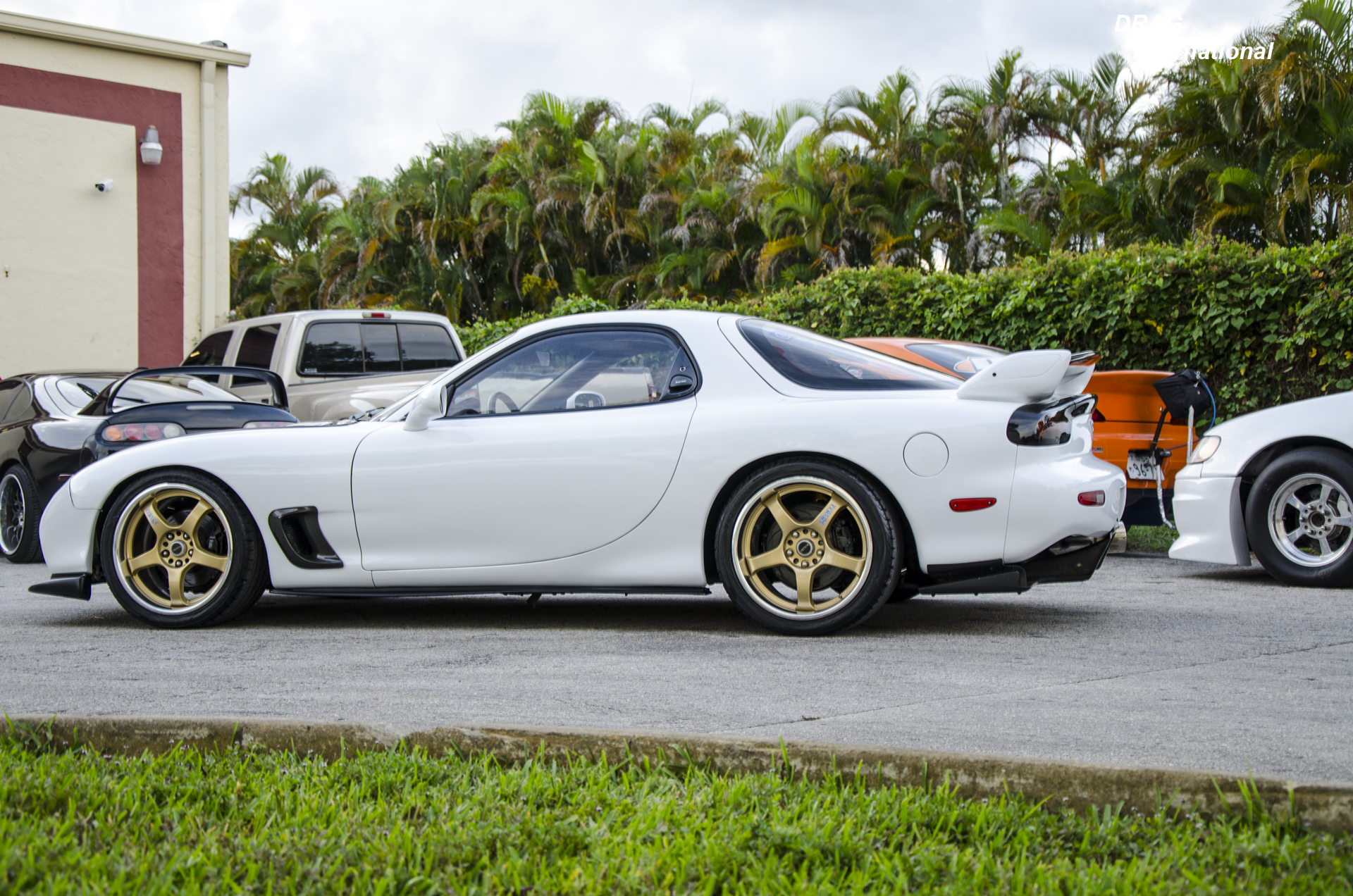 _DSC9679_1 | DRAG International