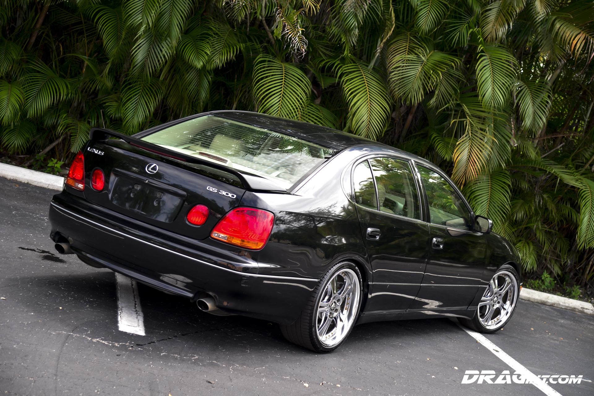 DRAGintGSMild012 – DRAGint.com