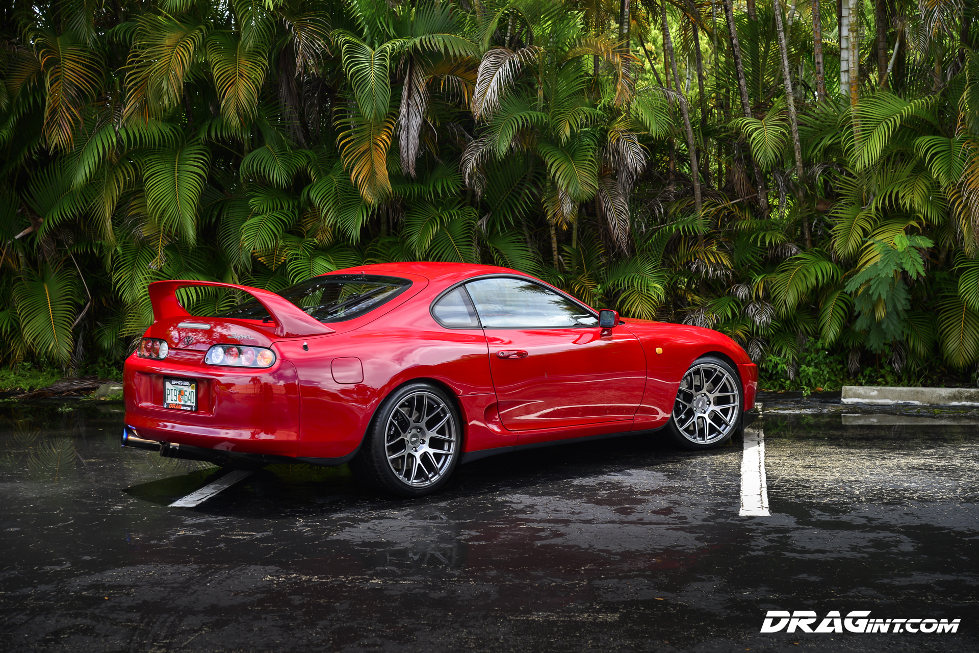 DRAGintSupra559HP005 – DRAGint.com