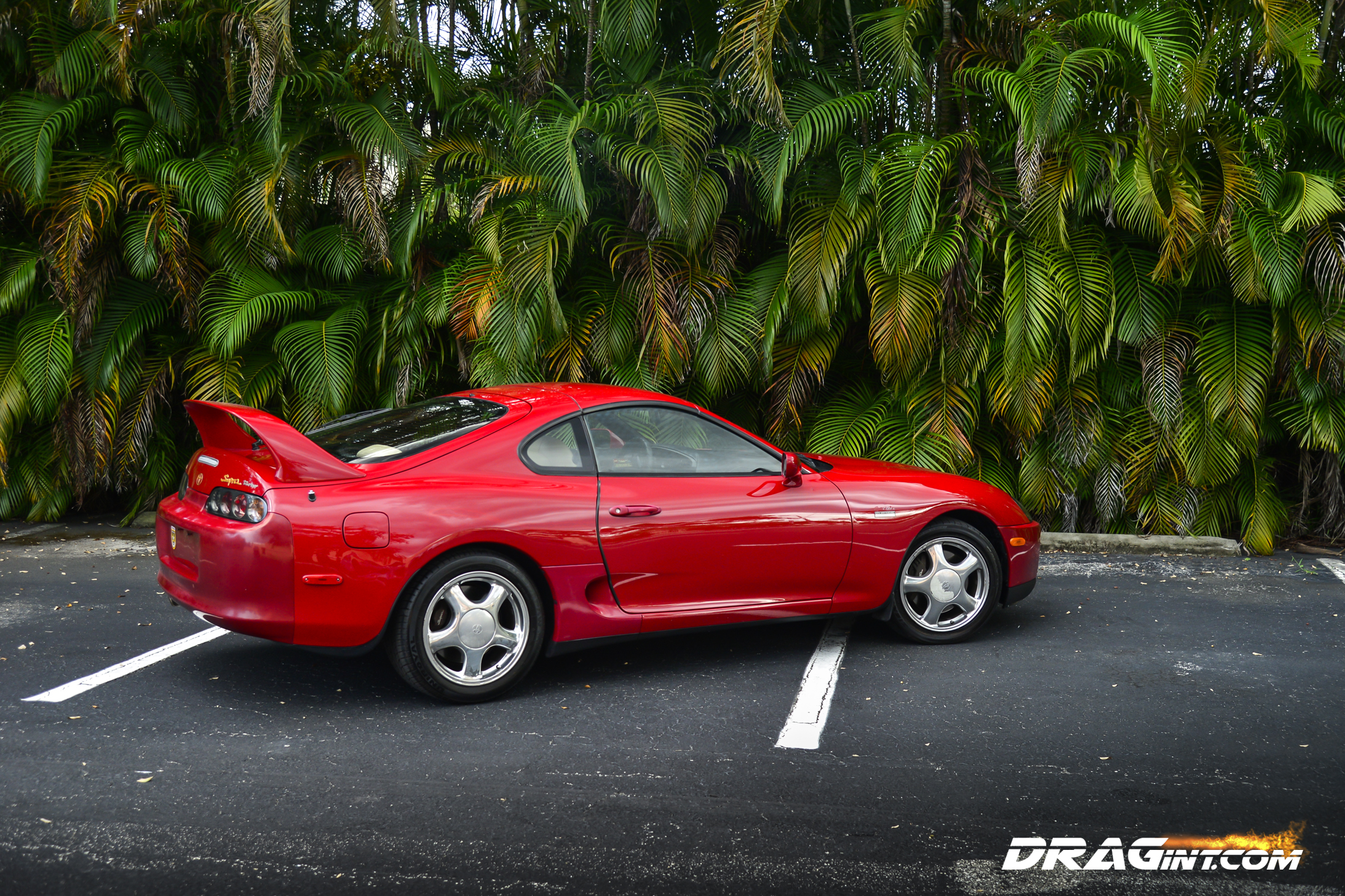 _DSC2174 – DRAGint.com